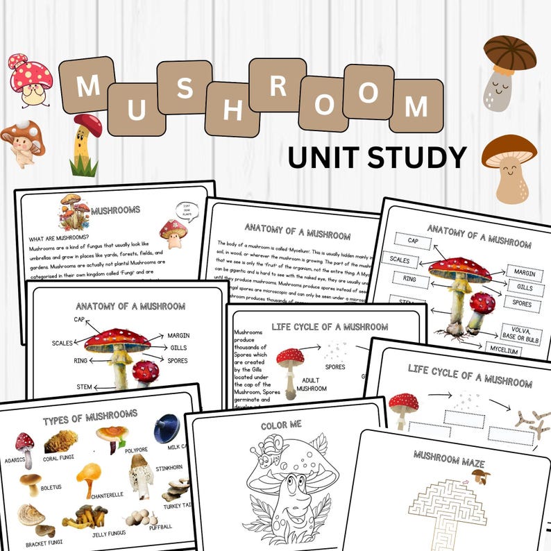 Mushroom Unit Study Life Cycle Anatomy Nature Study Coloring Maze Types ...