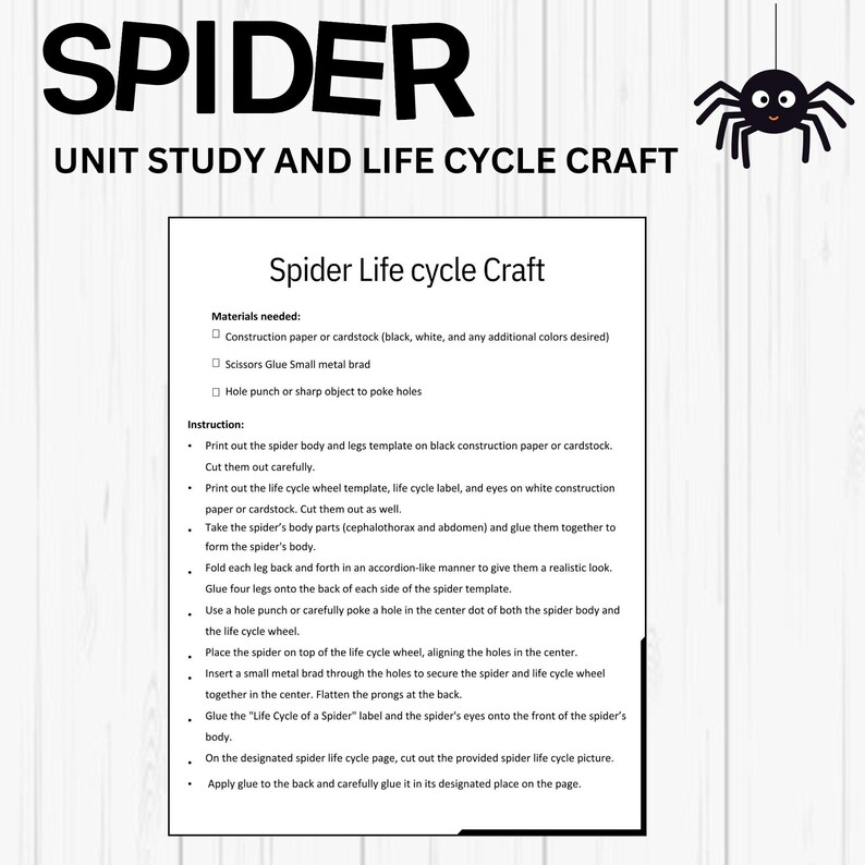 Spider Unit Study: Life Cycle Activities, Craft and Facts Digital ...