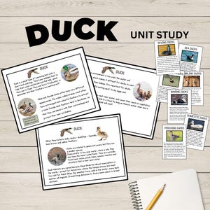 Duck Unit Study Homeschool Learning Material Charlotte Mason Preschool ...