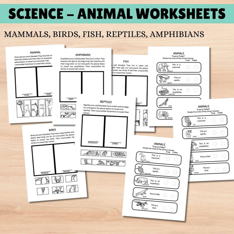 Science Curriculum Animals Busy Book Homeschooling Grade 1 Learning ...
