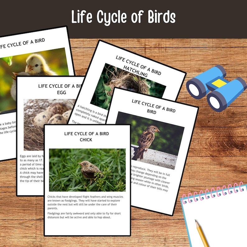 Printable Backyard Birds Unit Study Bird Watching Journal Kids ...