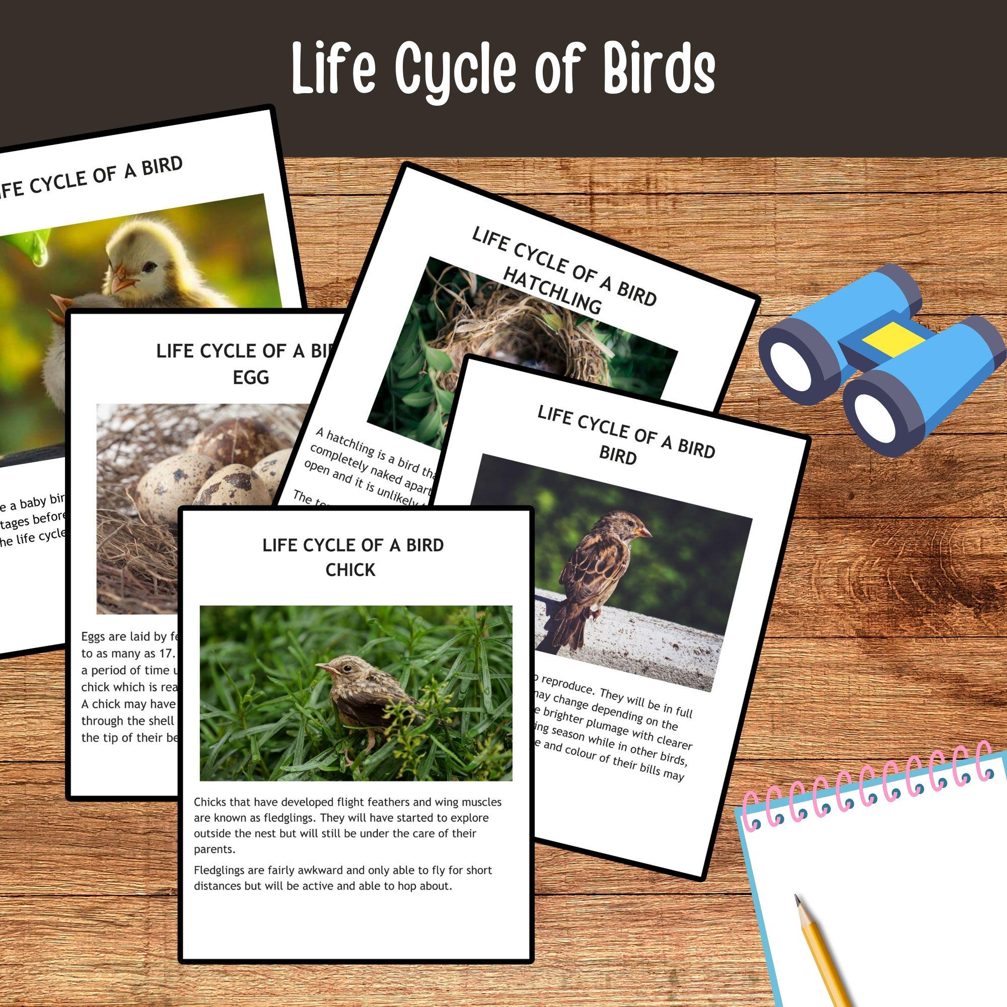 Printable Backyard Birds Unit Study Bird Watching Journal Kids ...