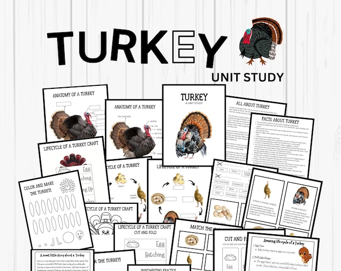 Turkey Unit Study, Anatomy, Life Cycle, Flashcards, Breeds, Worksheets ...