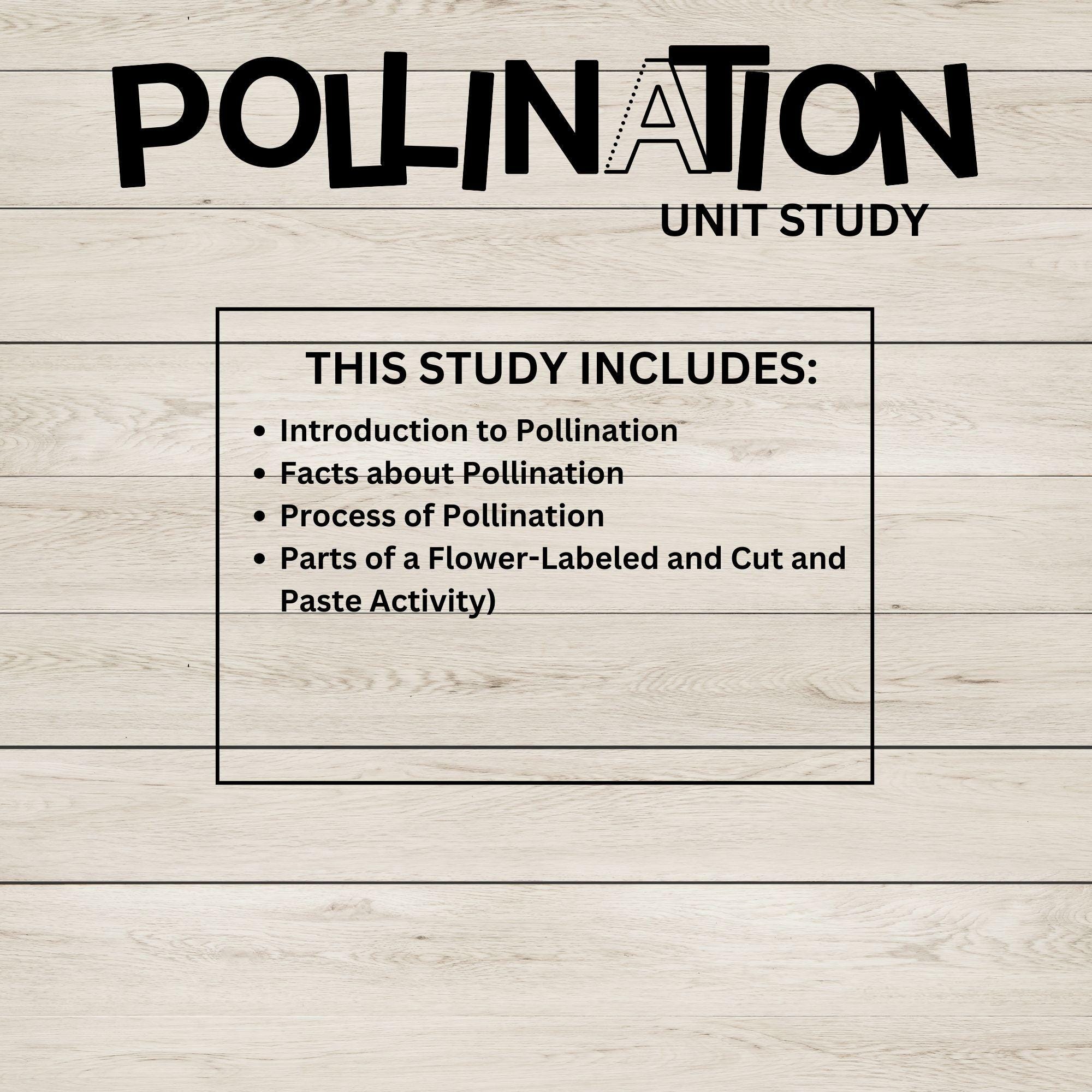 Pollination Flower Unit Study Bundle Anatomy of a Flower Charlotte ...