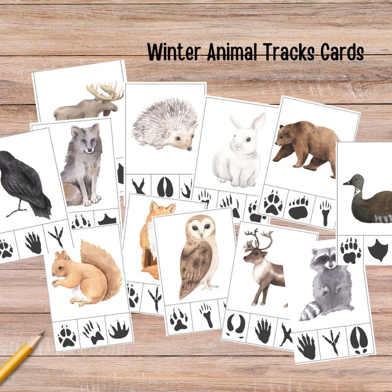 Winter Animals Unit Study: Homeschool Learning Binder Printable - Etsy