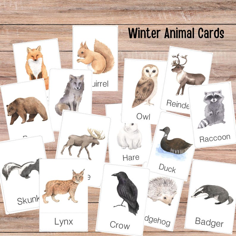 Winter Animals Unit Study: Homeschool Learning Binder Printable - Etsy