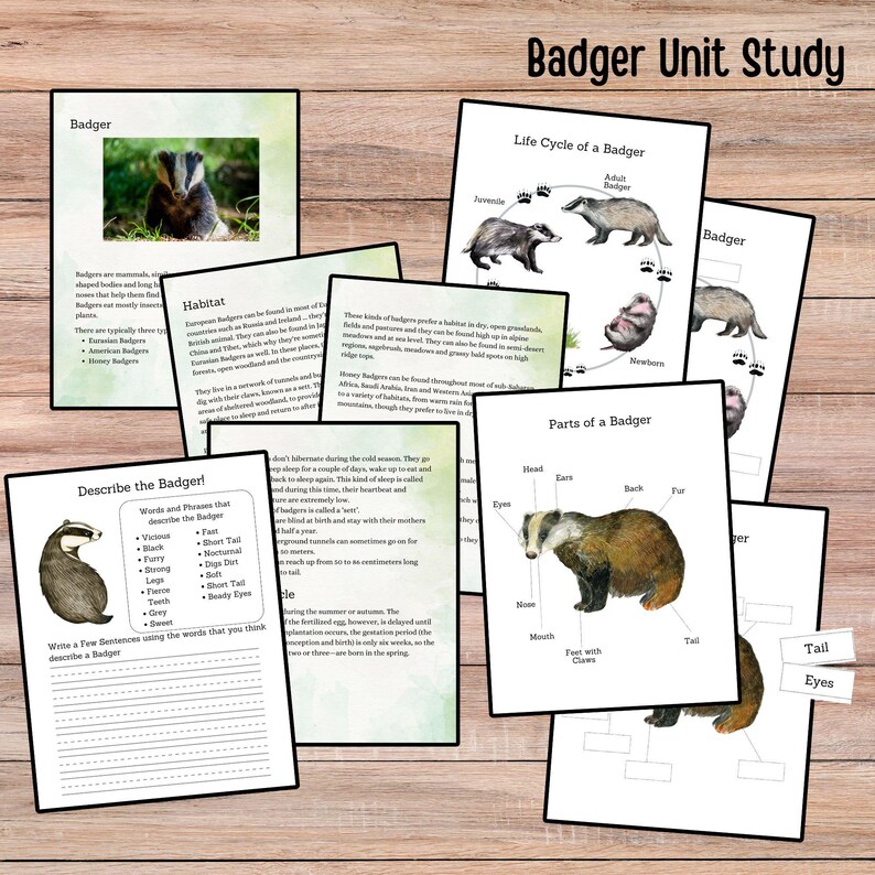 Winter Animals Unit Study: Homeschool Learning Binder Printable - Etsy