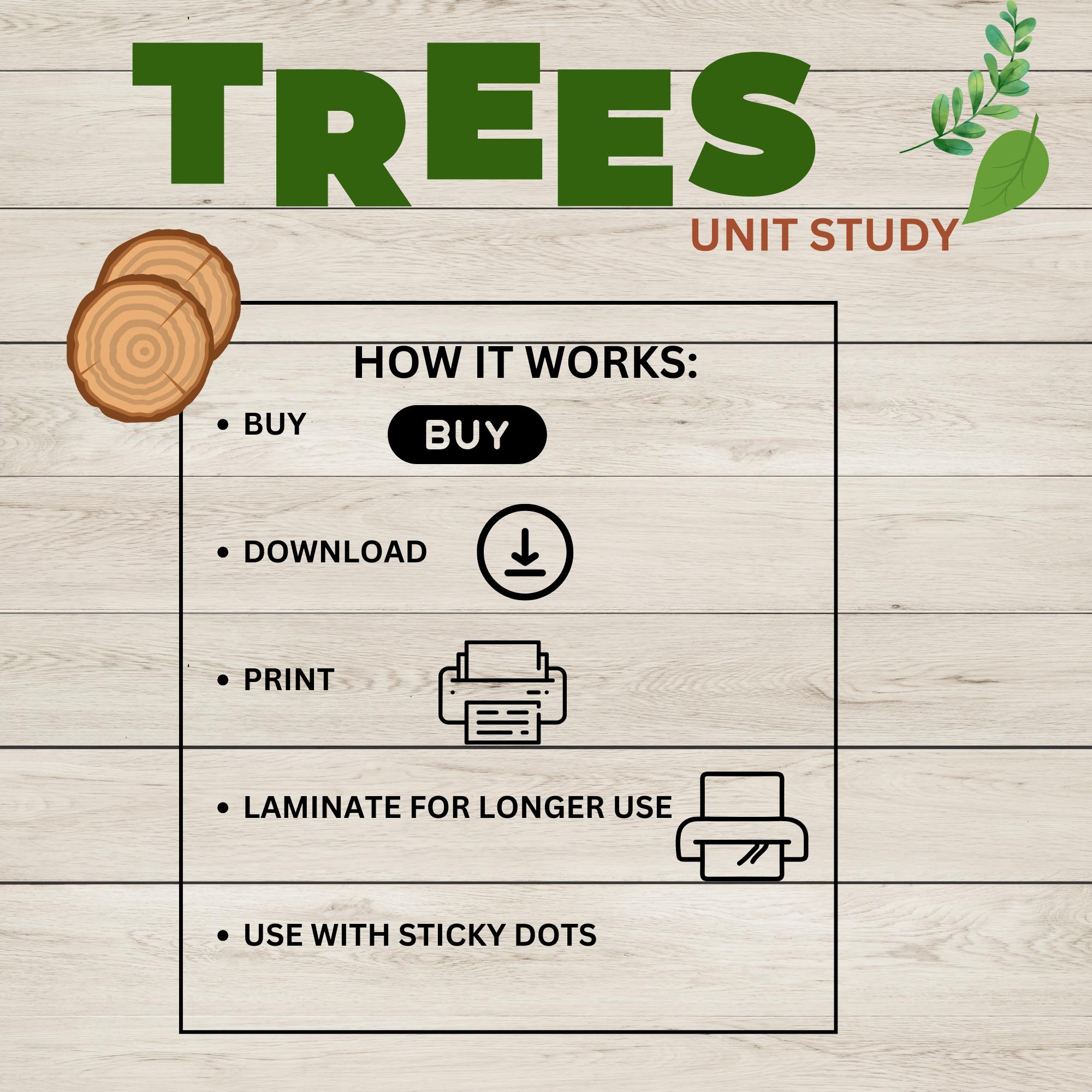 Tree Unit Study Bundle Charlotte Mason Nature Study Anatomy of a Trunk ...