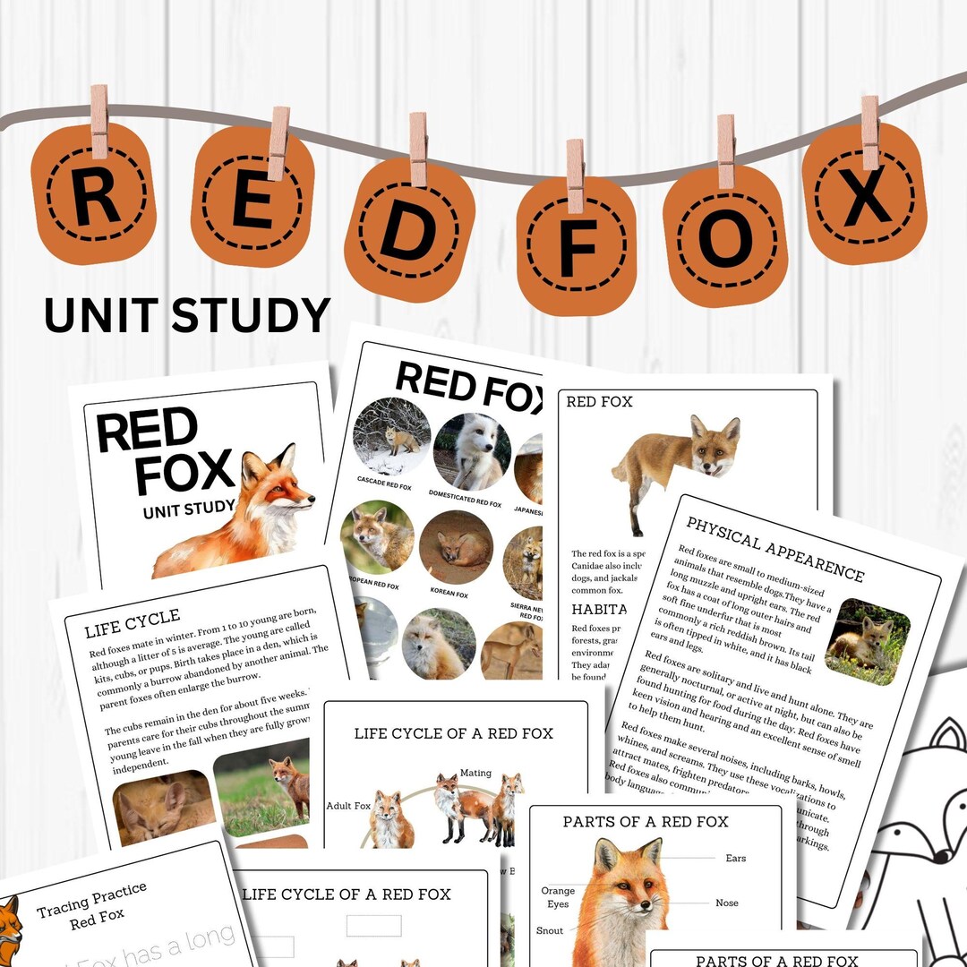 Red Fox Unit Study Homeschool Fall Activities Red Fox Anatomy & Life ...