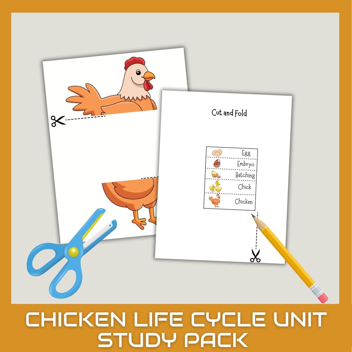 Chicken Unit Study Homeschool Summer Activities Chicken and Chick Life ...
