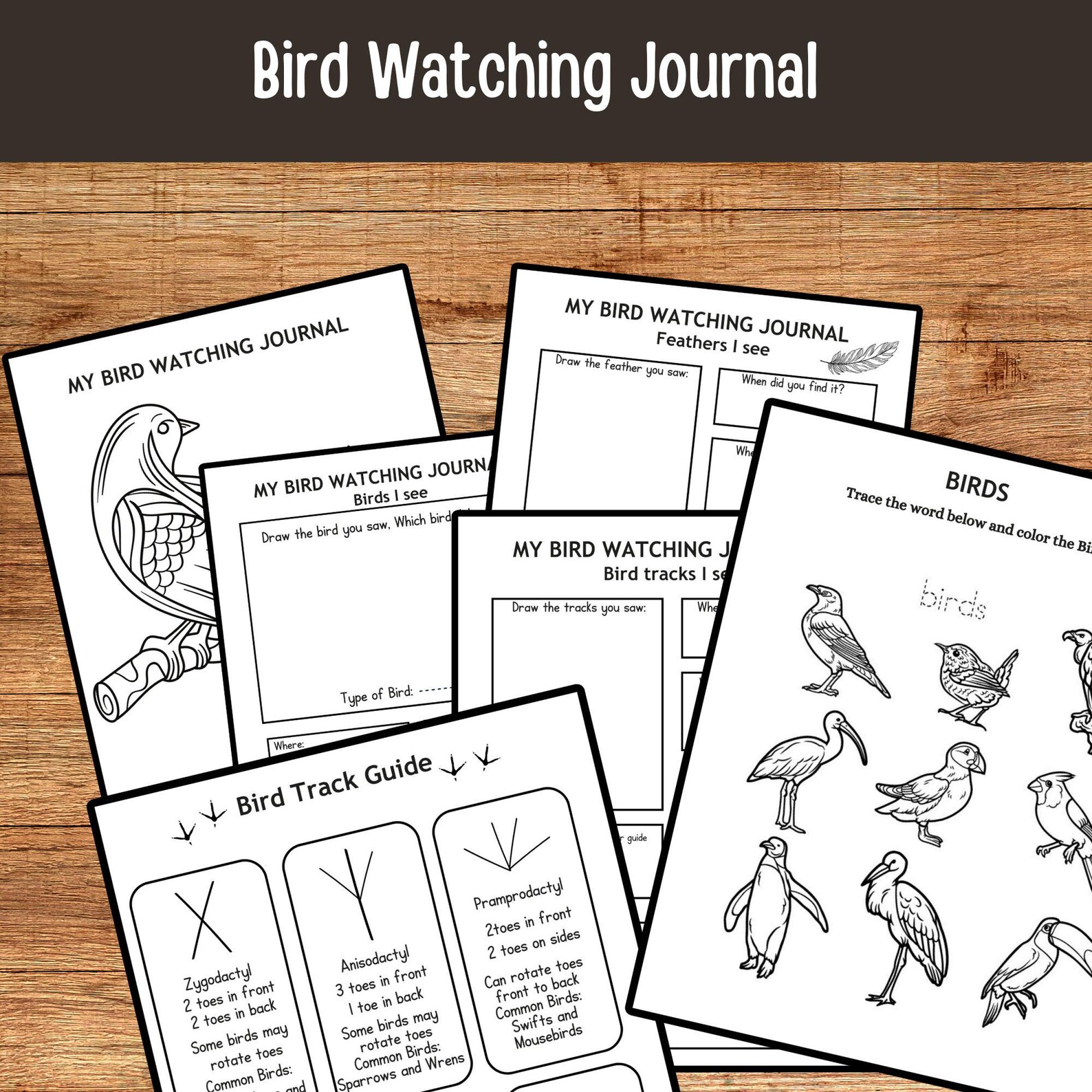 Printable Backyard Birds Unit Study Bird Watching Journal Kids ...