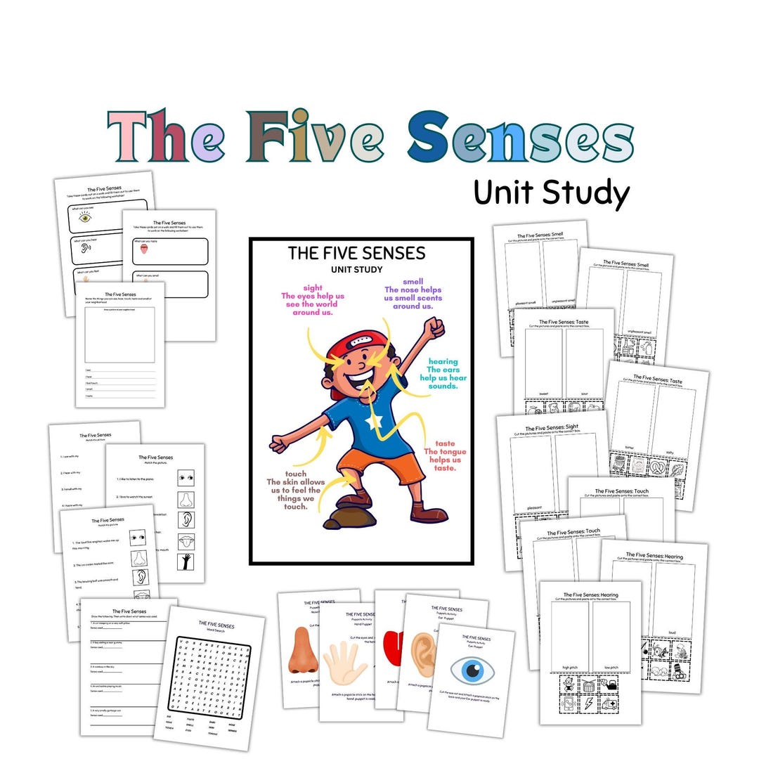 Science Curriculum Five Senses Unit Study Homeschooling Preschool ...