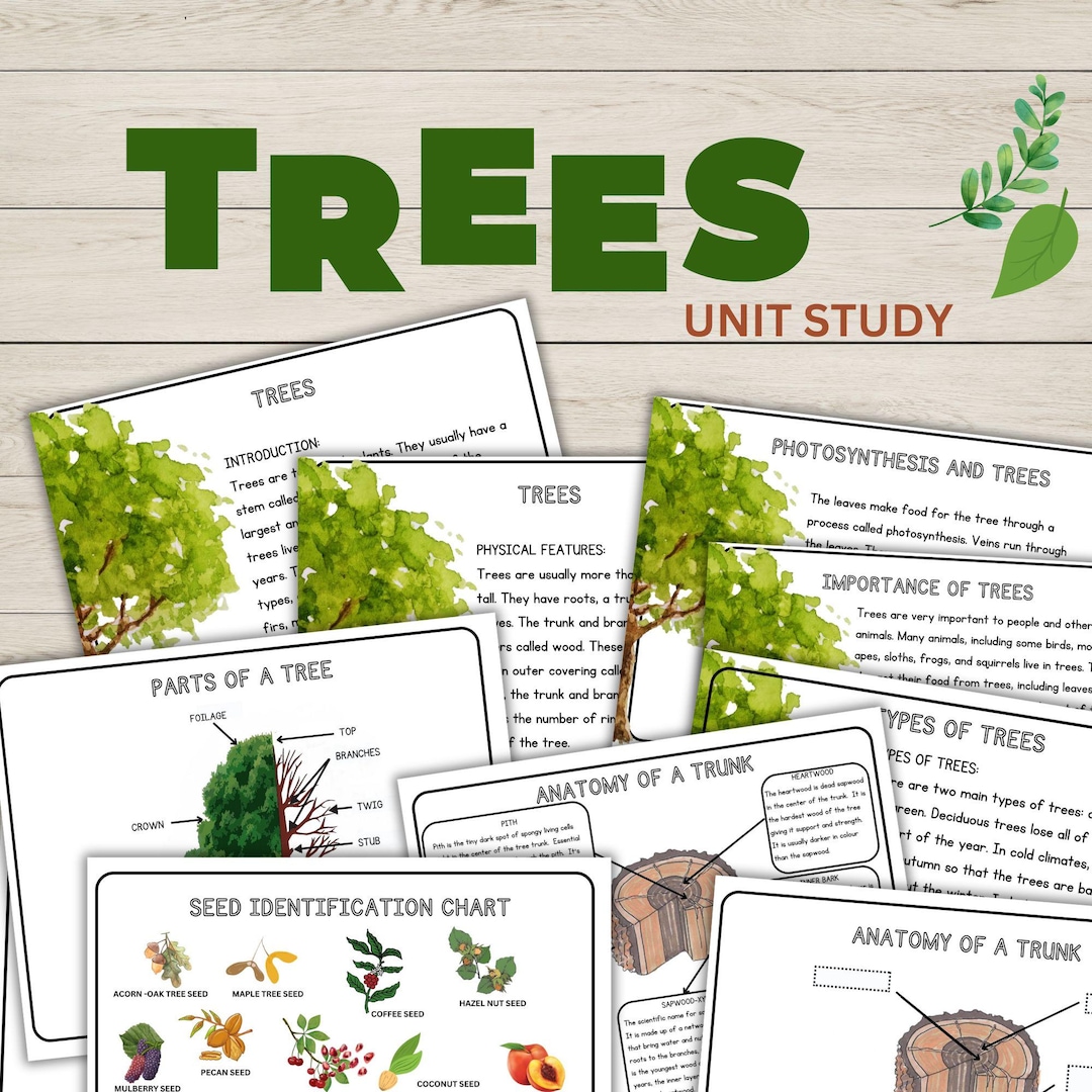 Tree Unit Study Bundle Charlotte Mason Nature Study Anatomy of a Trunk ...