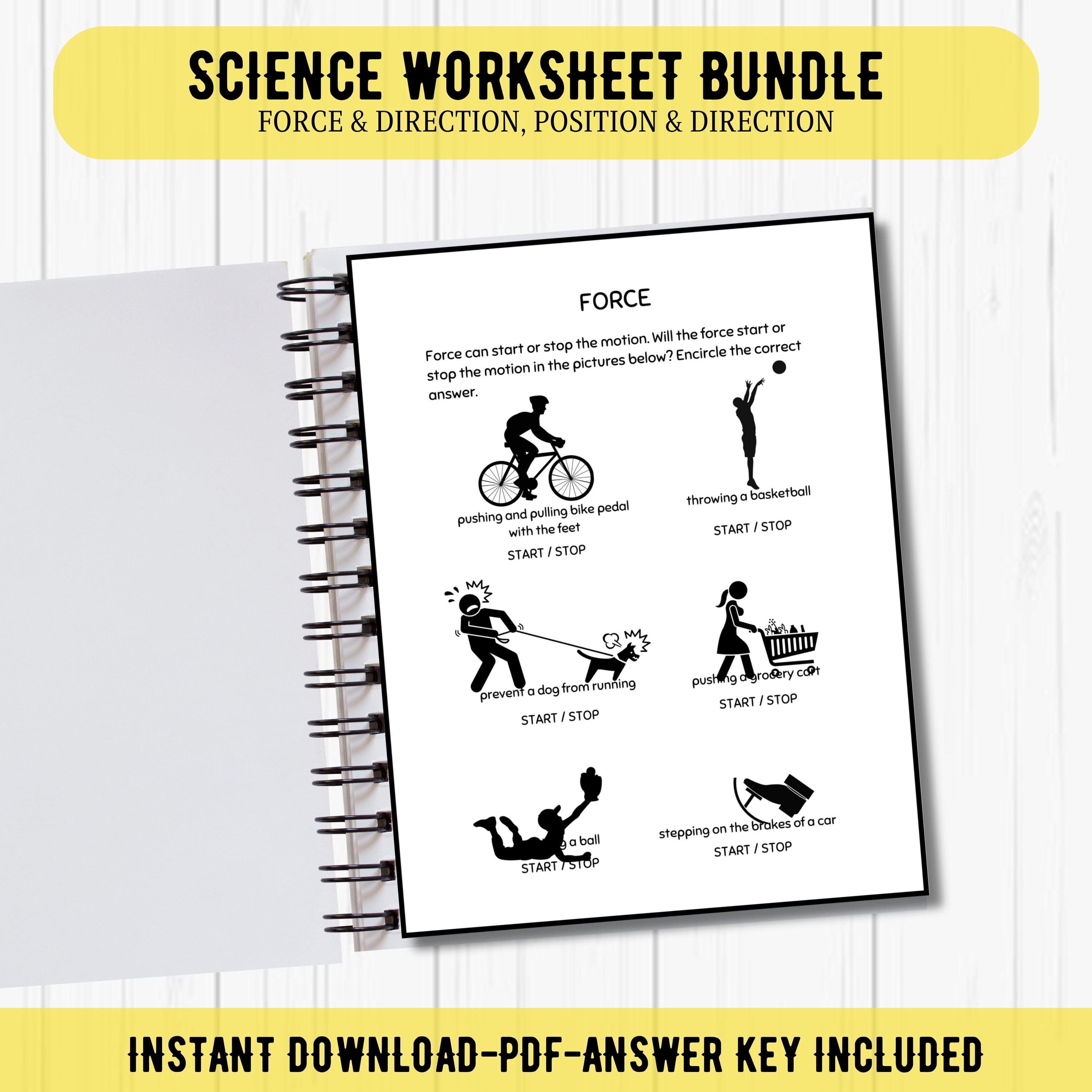 Science Force and Motion Unit Study Bundle 2nd & 3rd Grade Force and ...