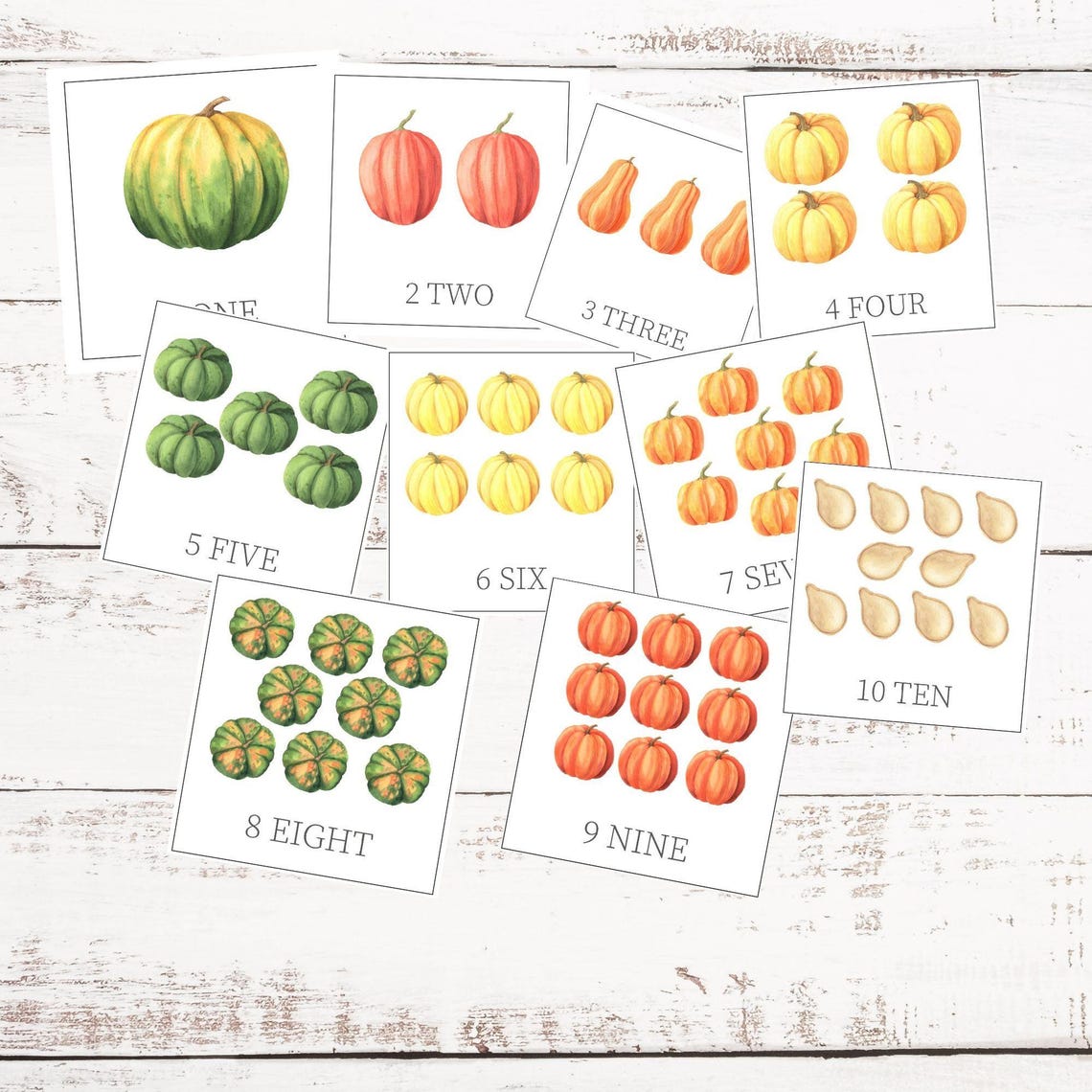 Pumpkin Unit Study Homeschooling Preschool Fall Activities Autumn ...