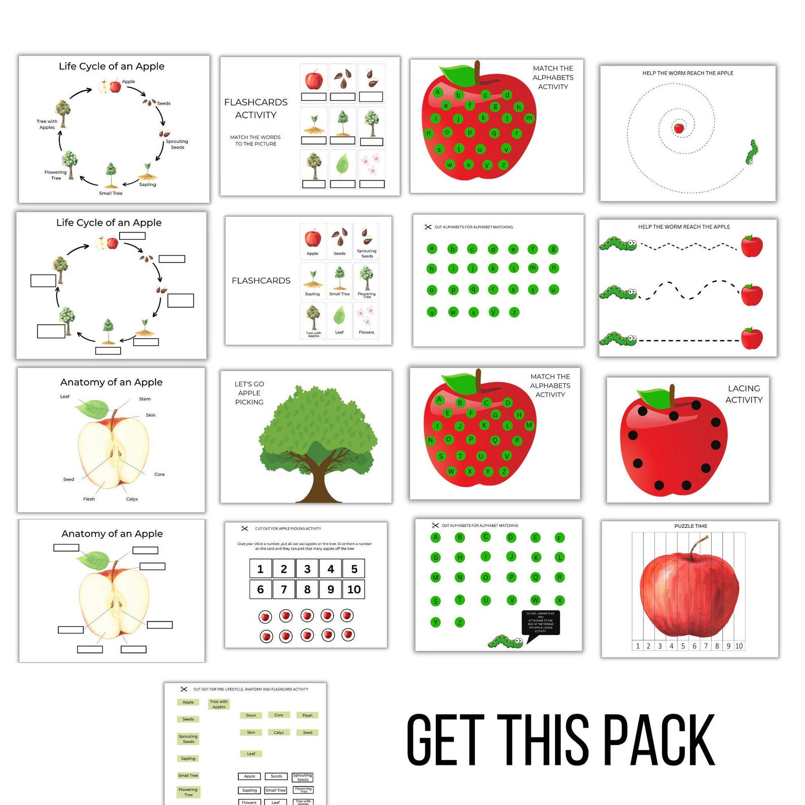 APPLE Unit Study Life Cycle Anatomy Nature Study Kindergarten Science ...