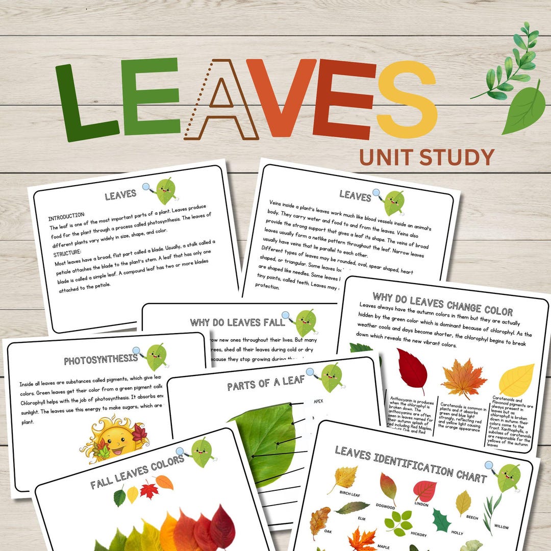 Leaves Unit Study Bundle Anatomy of a Leaf Charlotte Mason Nature Study ...