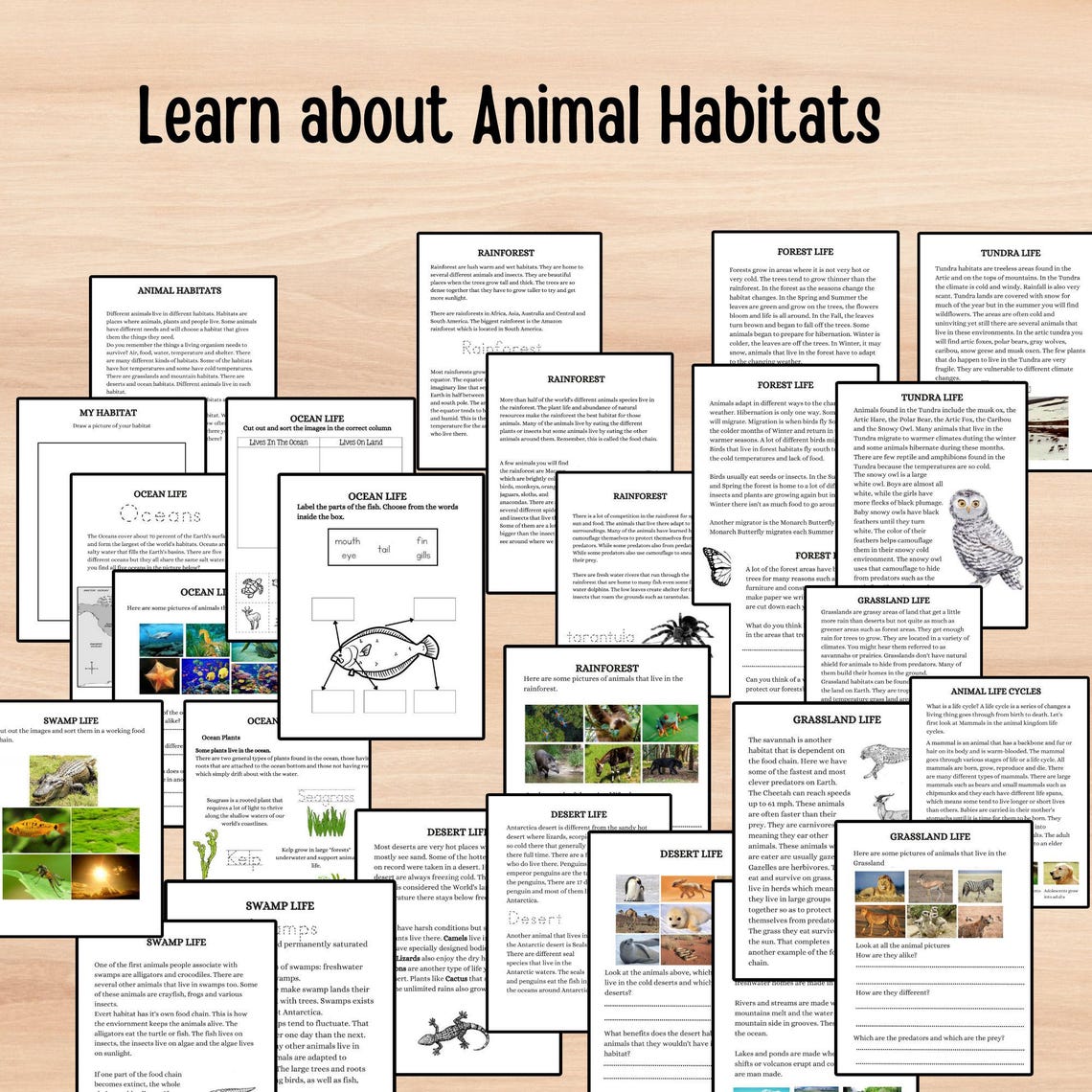 Science Curriculum Mega Bundle: Interactive Learning Journal - Etsy