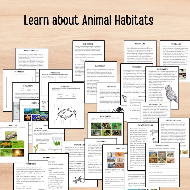 Science Curriculum Mega Bundle: Interactive Learning Journal - Etsy