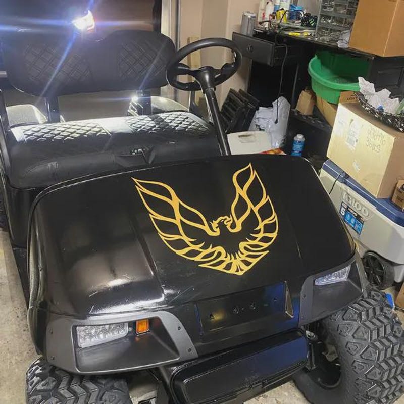 Trans Am Decal - Etsy