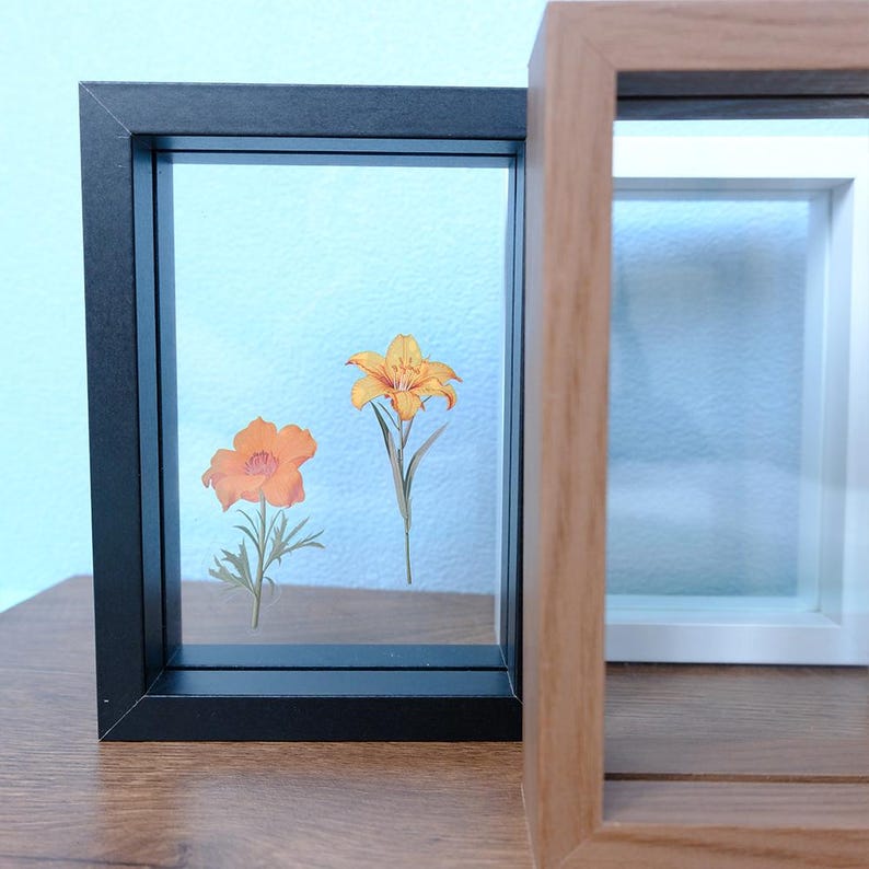 Wooden Floating Frame: Pressed Flower Display, Botanical Decor - Etsy