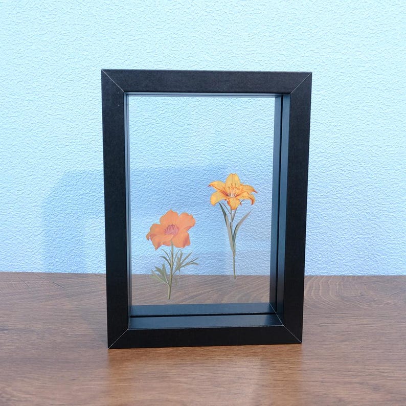 Wooden Floating Frame: Pressed Flower Display, Botanical Decor - Etsy