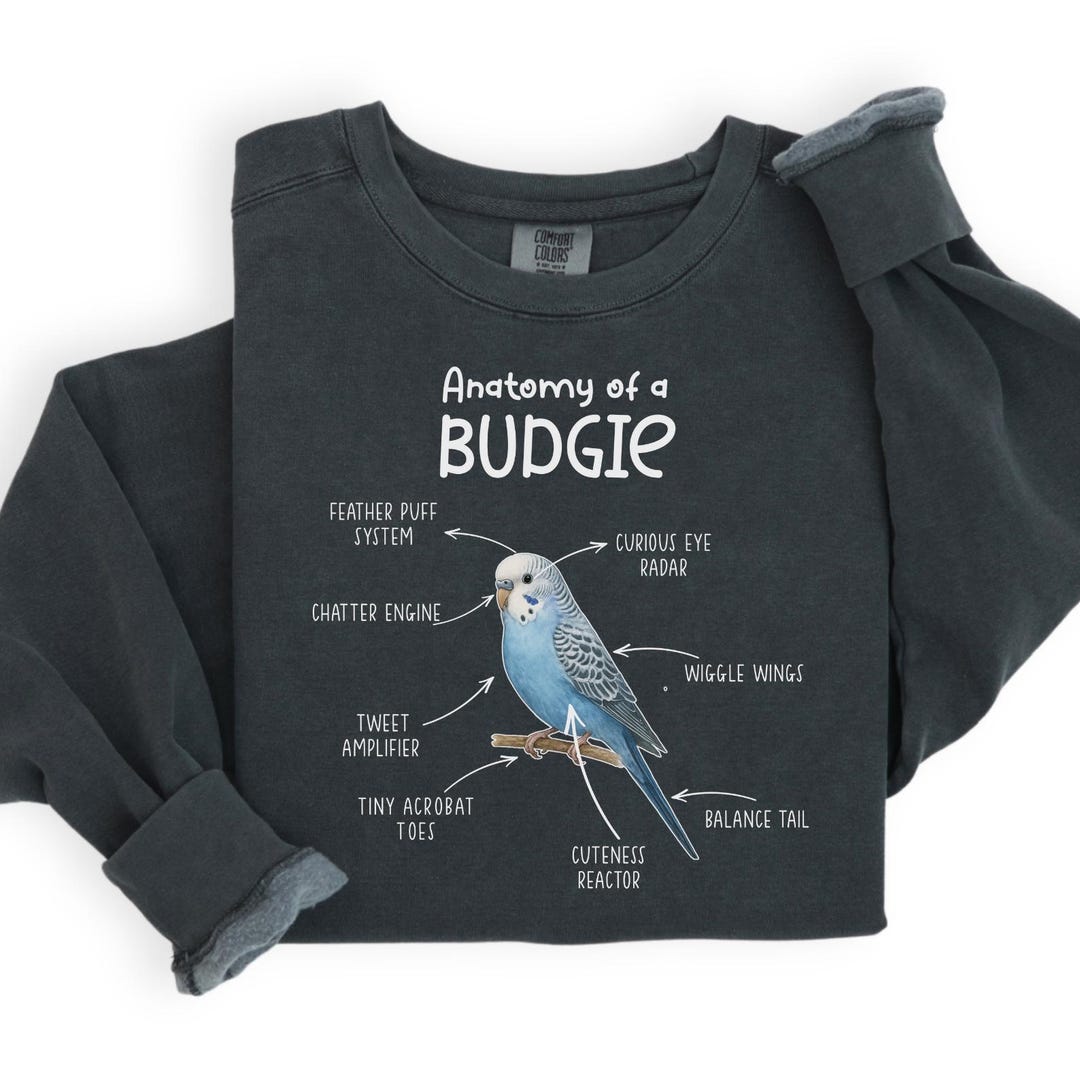 Anatomy of A Budgie Sweatshirt, Funny Parakeet Bird Lover Crewneck ...