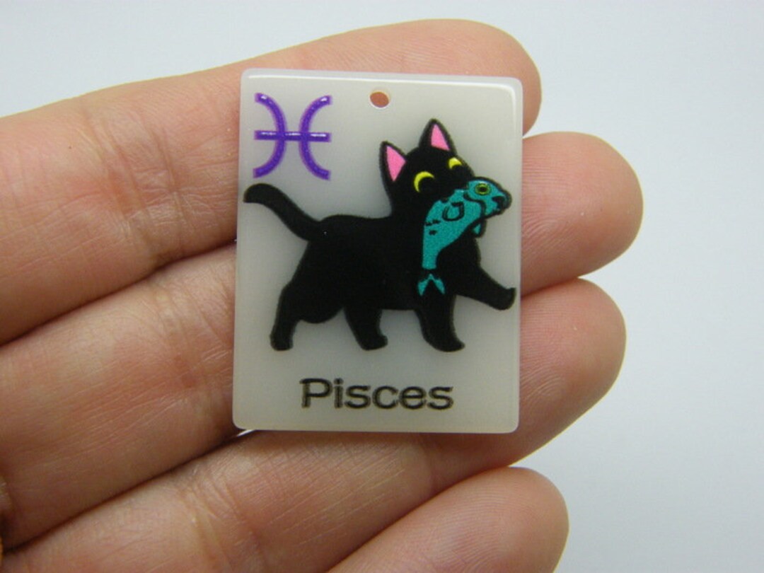 2 Pisces Zodiac Star Sign Glow in the Dark Pendant Acrylic - Etsy