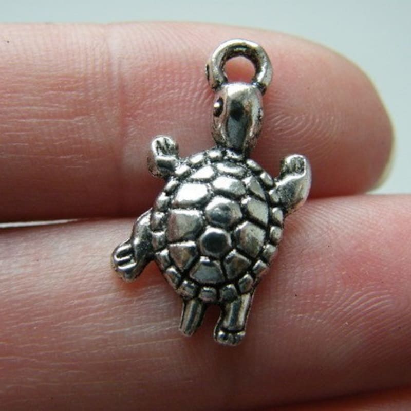 Tortoise Silver Antique - Etsy
