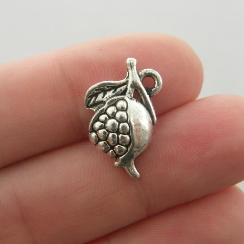 Pomegranate Charm - Etsy