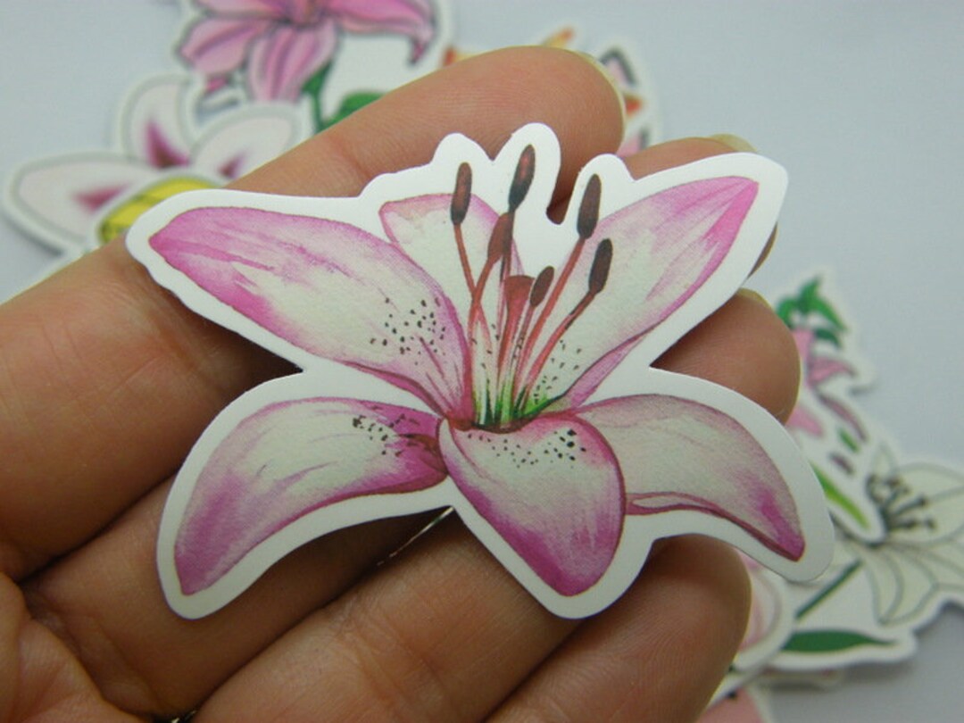 50 Lily Flowers Themed Stickers Random Mixed Paper 366 - Etsy