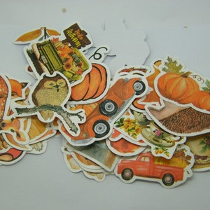 50 Autumn Woodland Creatures Themed Stickers Random Mixed Paper 27 - Etsy