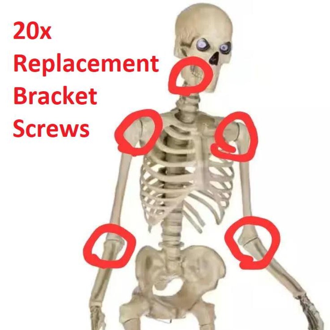 Home Depot 12ft Skeleton: Replacement Bracket Screws (set of 20) - Etsy
