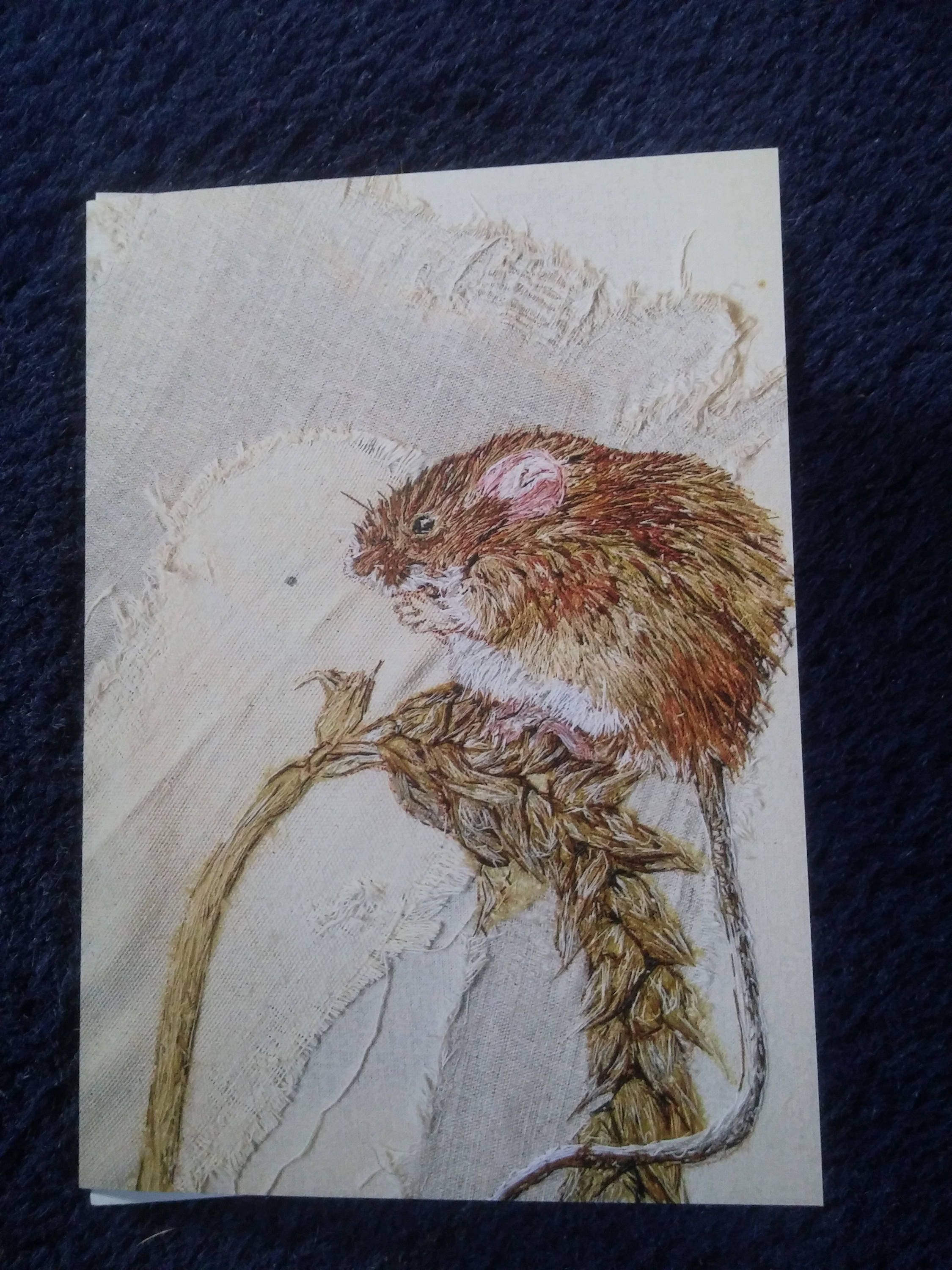 Harvest Mouse Greeting Card - Etsy