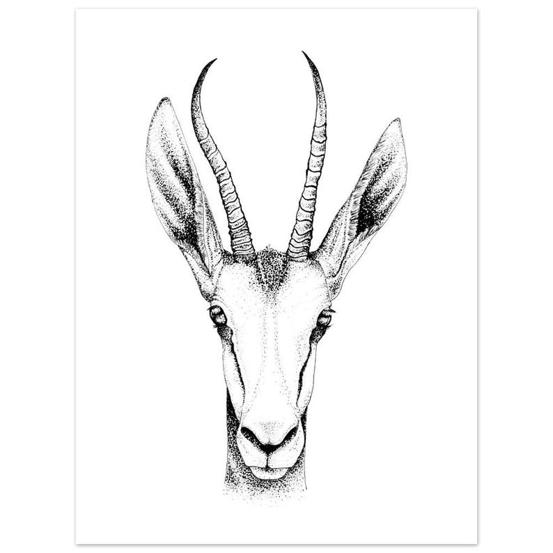 Springbok Portrait in Pointillism – Fine Black Ink Art – Eco-friendly ...