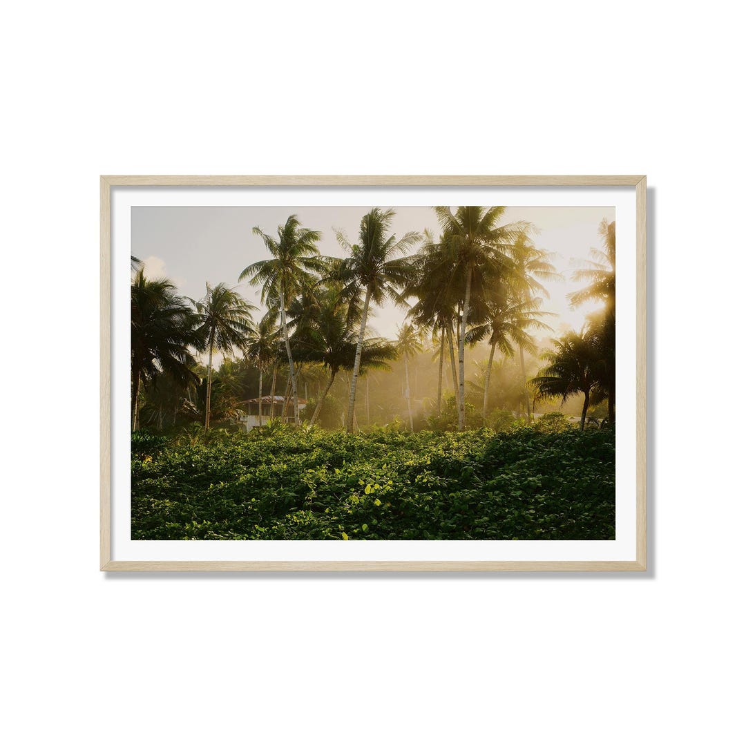 Tropical Jungle Photograph Wall Art, Palm Tree Photography Print ...
