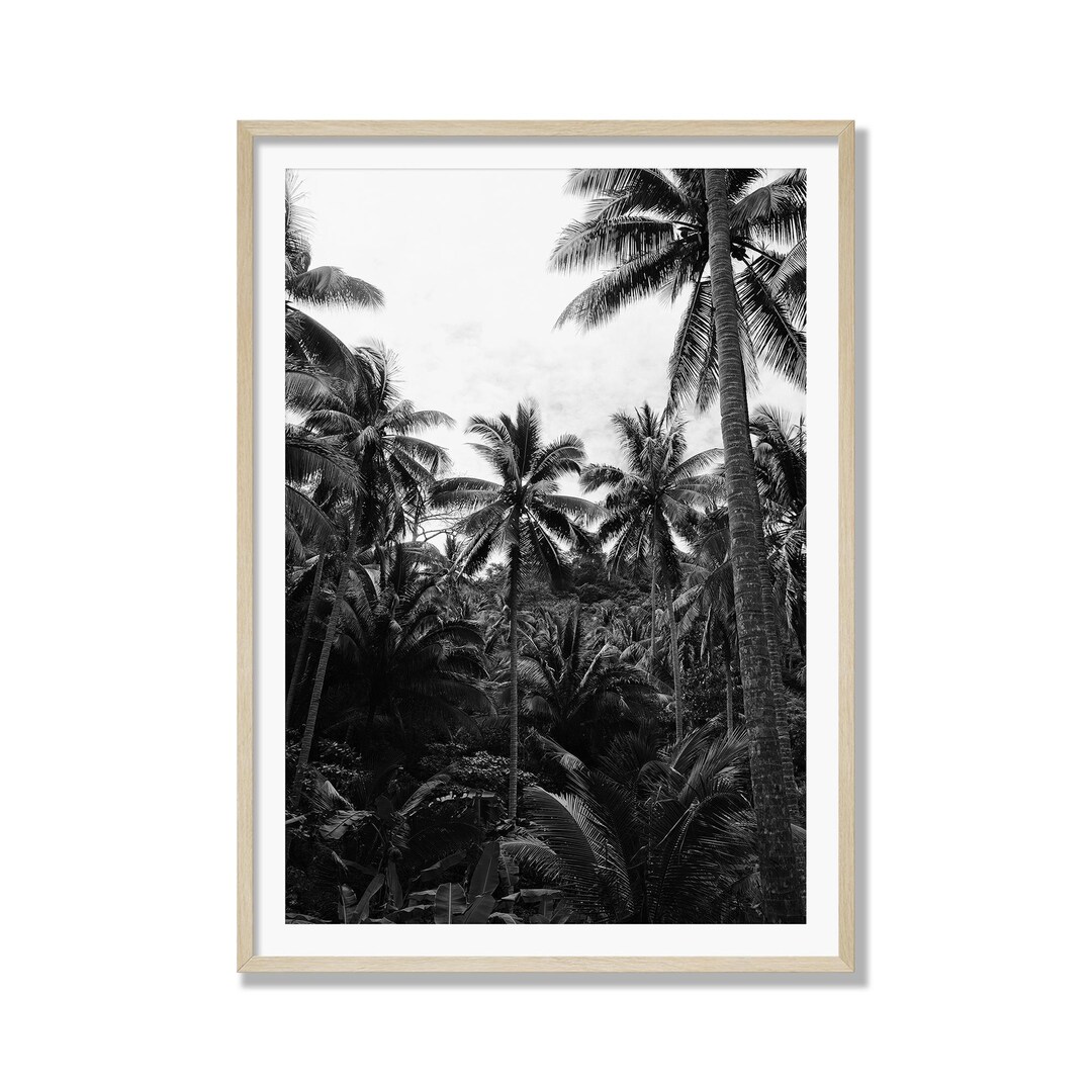 Black and White Jungle Photography Print, Tropical Palm Tree Wall Art ...