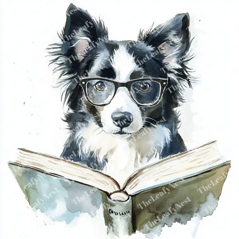 14 Border Collie Clipart, Reading Dog Clipart, Smart Pet Clipart ...