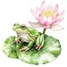 10 Frog Lily Pad Clipart, Lotus Pond Clipart, Peaceful Amphibian ...