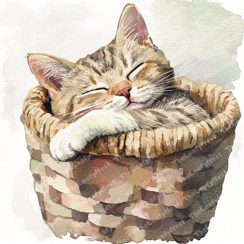 12 Cat Clipart Bundle - Cute Cat Illustrations - Digital Download ...