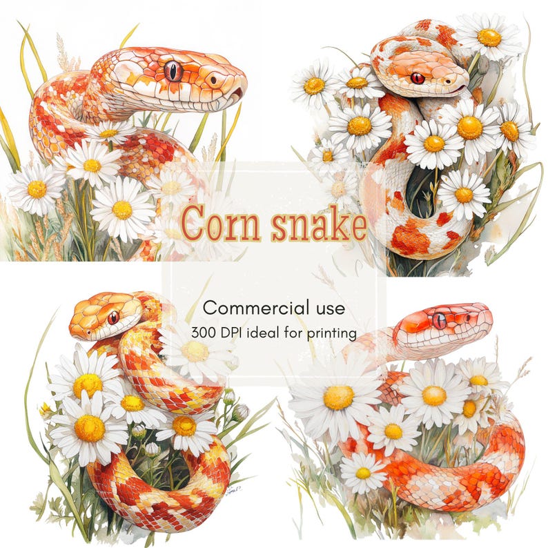 Corn Snake Clipart: Watercolor Snake With Daisies (PNG & JPG Digital ...