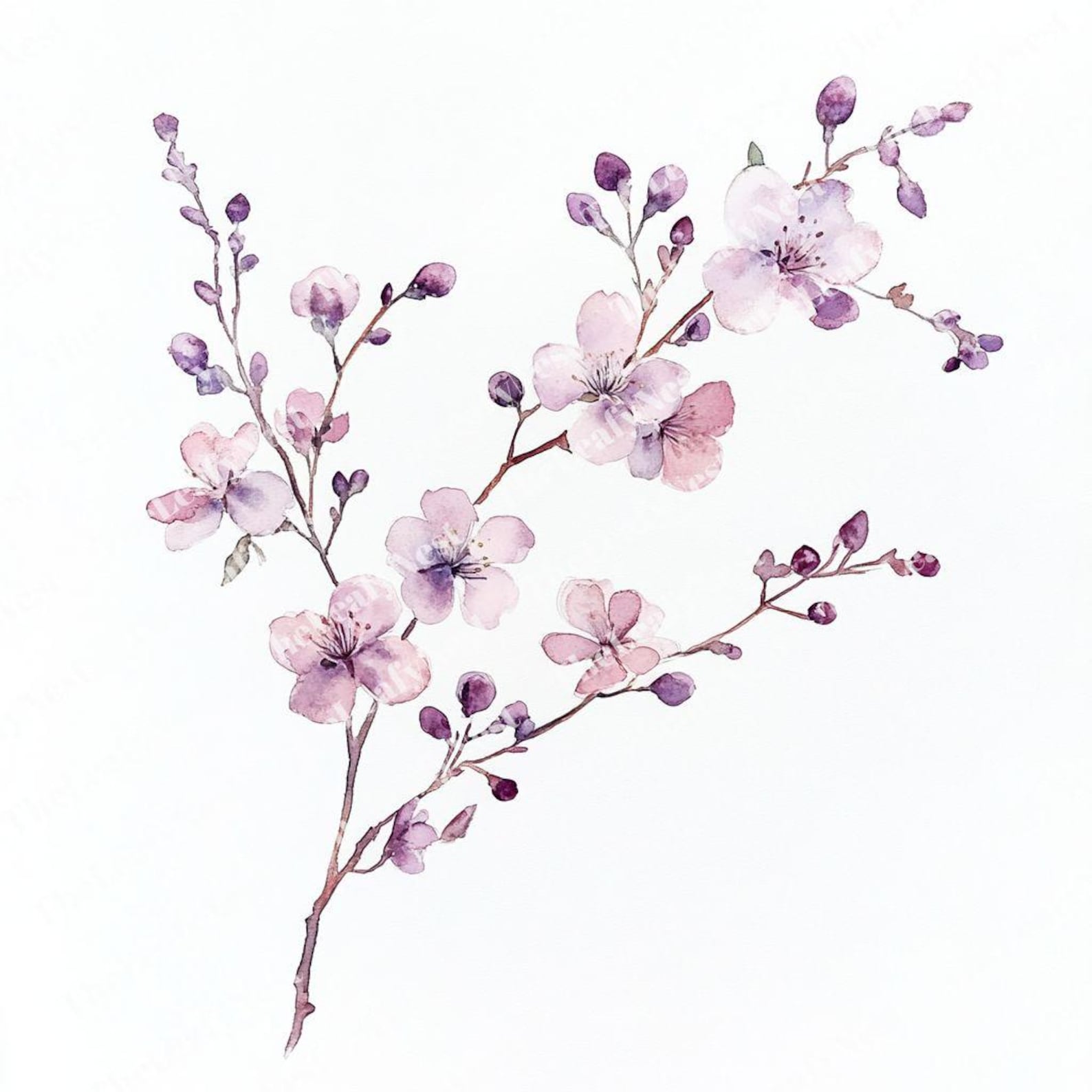 14 Plum Blossom Clipart, Lavender Pink Floral Branch Clipart ...