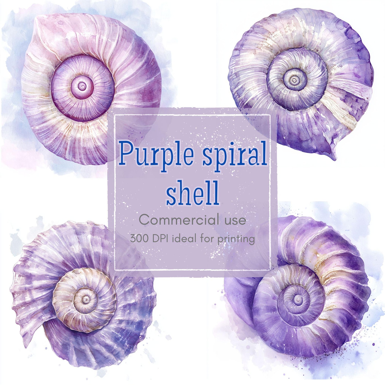 8 Spiral Shell Clipart, Soft Purple Watercolor Beach Shell, Printable ...