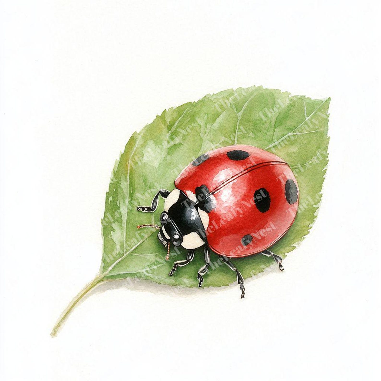 14 Ladybug on Leaf Clipart, Red Insect on Green Leaf, Printable ...