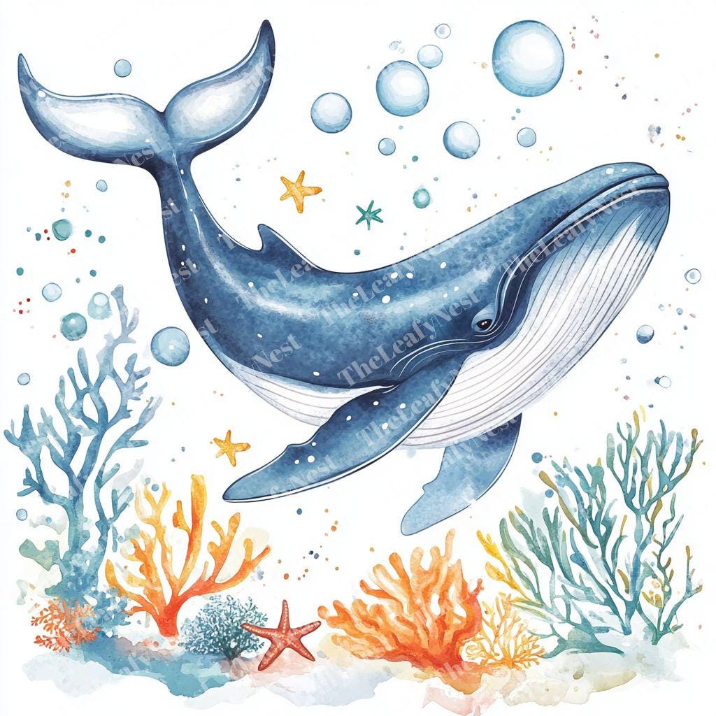 16 Whale Clipart, Coral Ocean Clipart, Sea Life Clipart, Printable ...