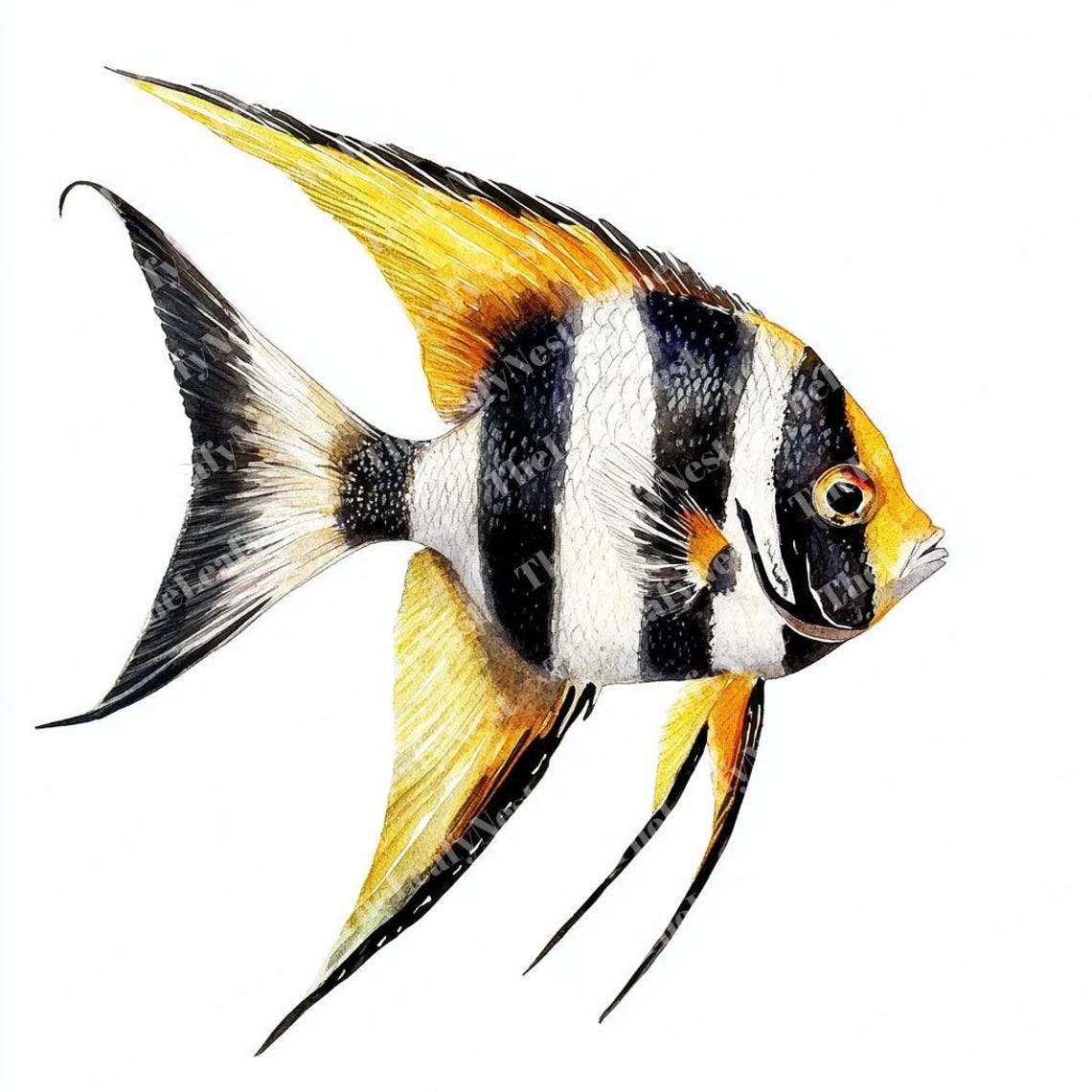 Watercolor Angelfish Clipart: Tropical Fish Art, Elegant Aquarium ...