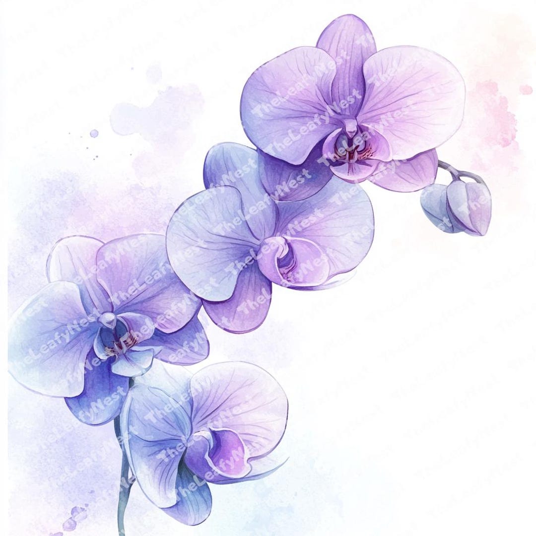10 Purple Orchid Clipart, Flower Clipart, Printable Watercolor Clipart, High Quality Jpgs and ...
