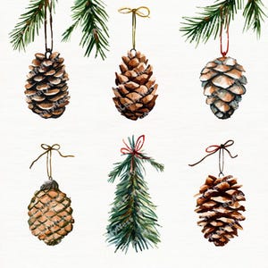 Watercolor Fir Cone Clipart – Christmas Tree Branch Graphics (digital ...