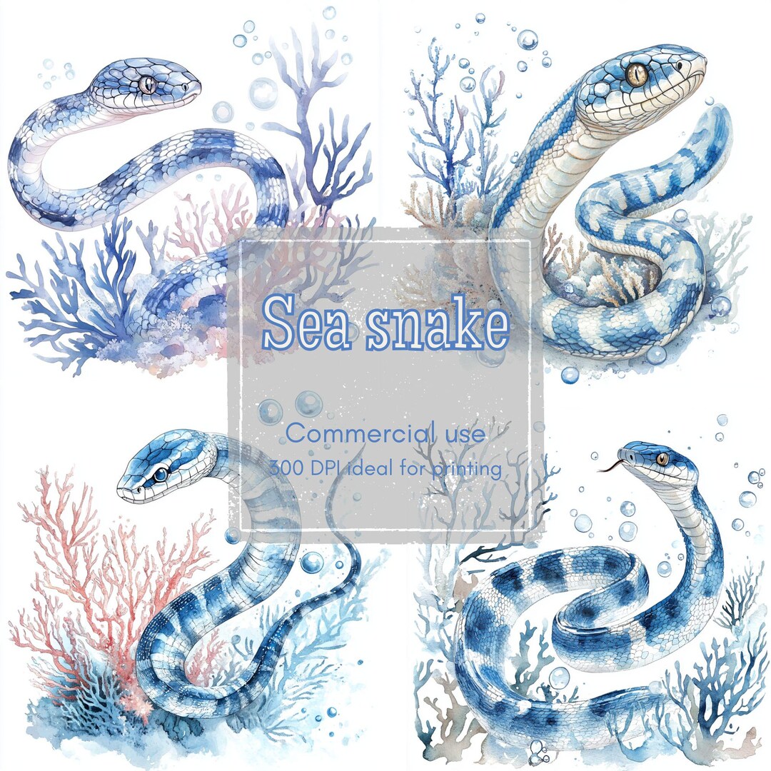 Watercolor Sea Snake Clipart: Blue Silver Ocean Reptile (JPG & PNG ...