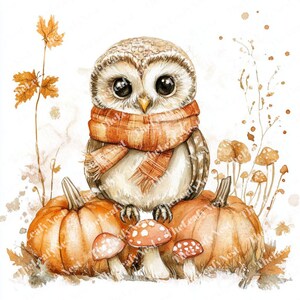 16 Autumn Owl Clipart, Woodland Baby Owl Clipart, Pumpkin Mushroom ...